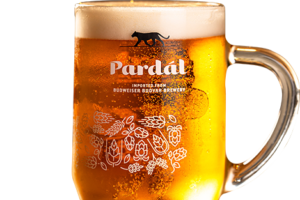 Pardal - Signature Brands